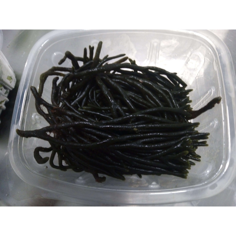 ALGAS WISSI - Chorão do Mar Fresca 6X500g Biológico - MercaChefe